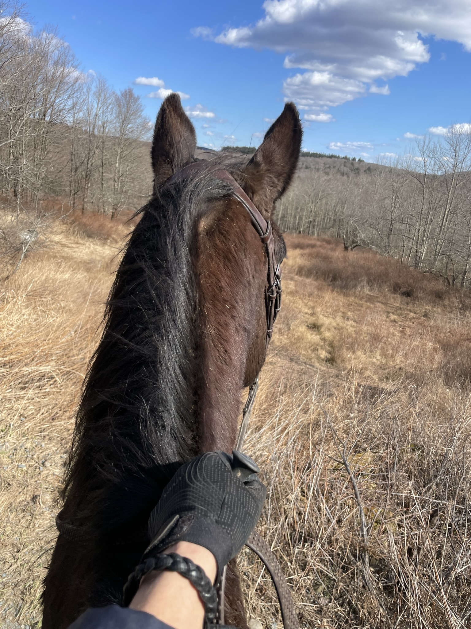 Life Without A Paddle