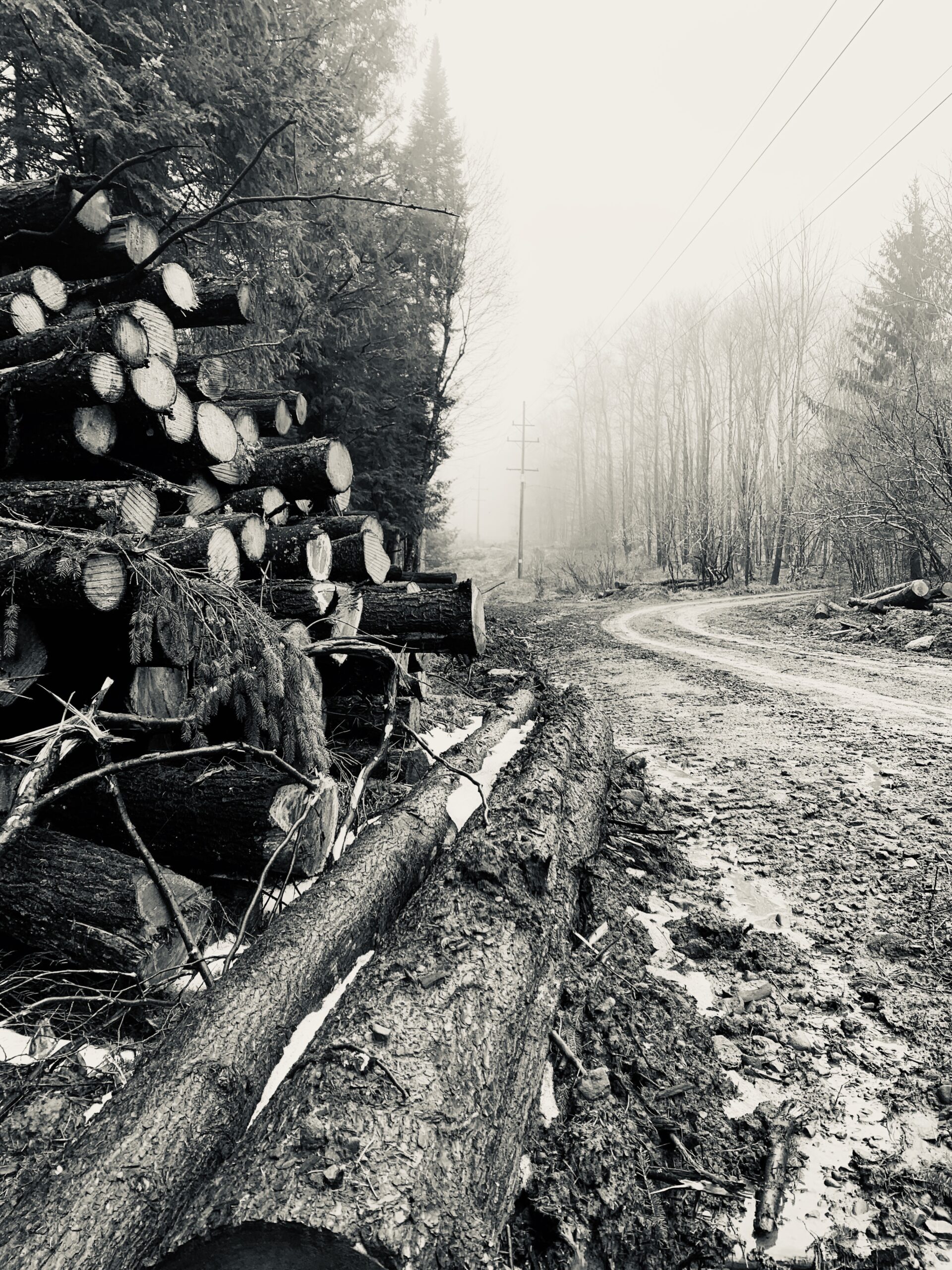 Life Without A Paddle