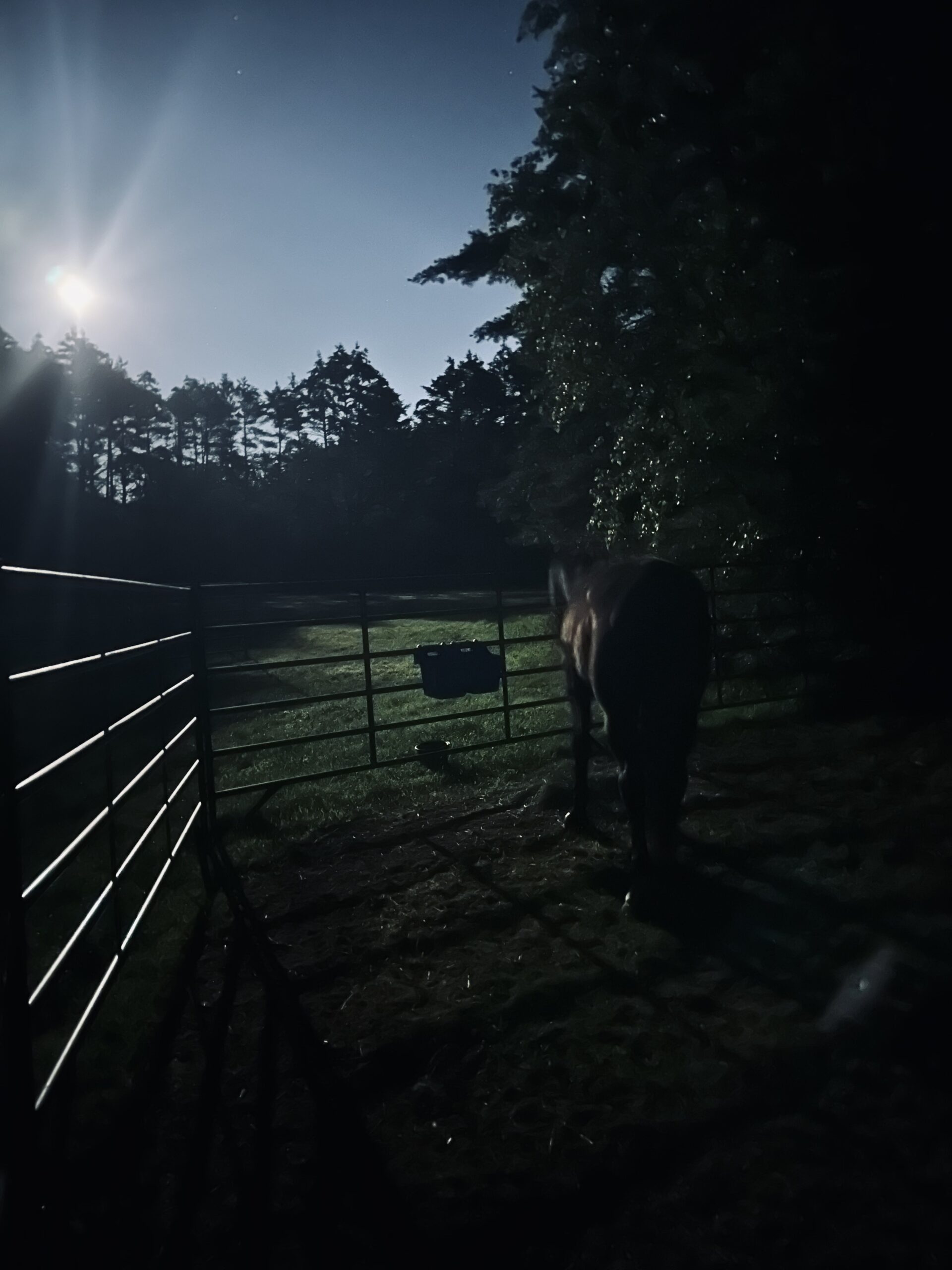 Life Without A Paddle