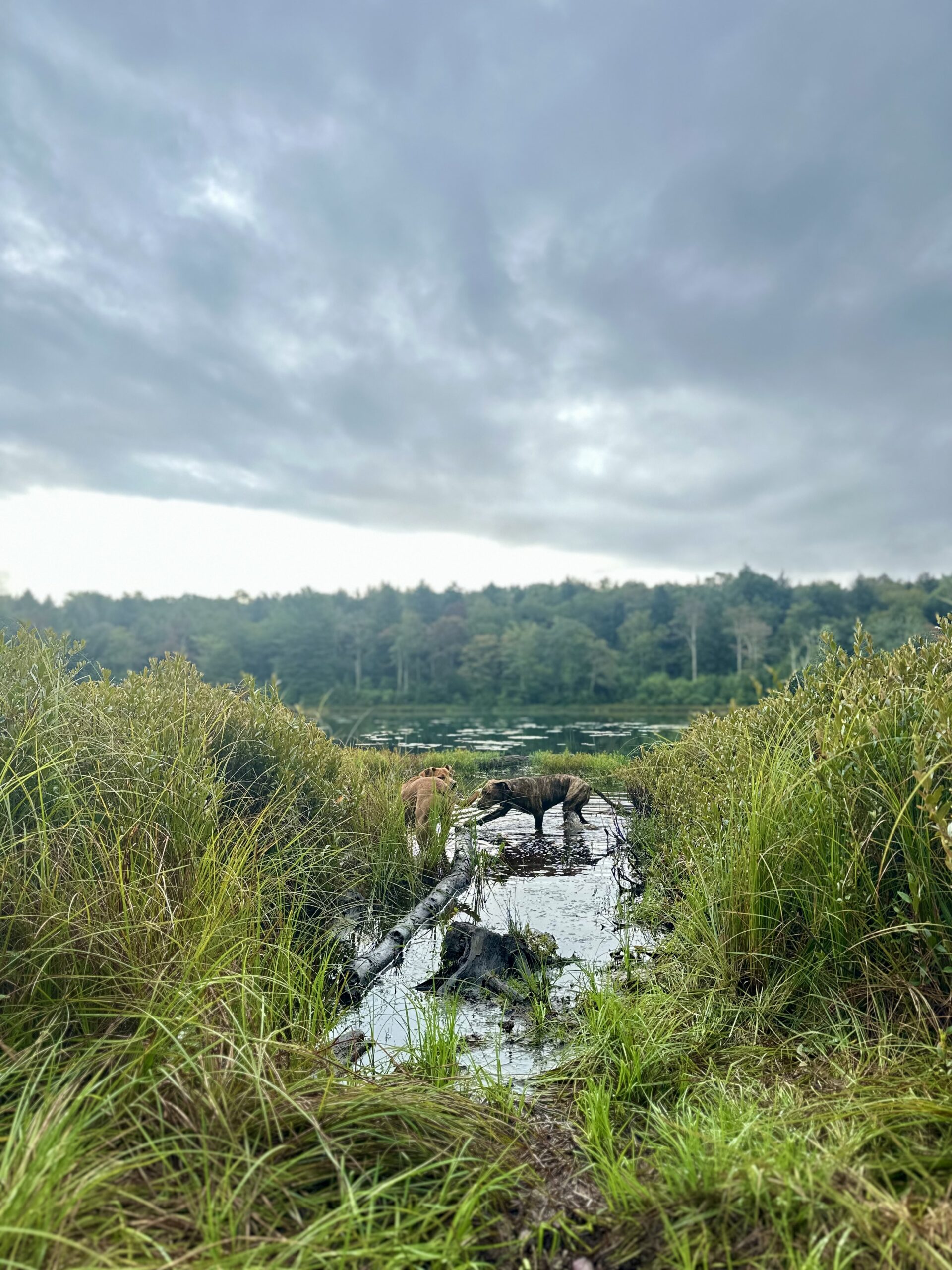 Life Without A Paddle